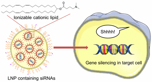 Next-Generation Lipids in RNA Interference Therapeutics,ACS Nano - X-MOL