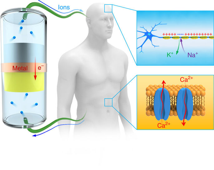 Inverted battery design as ion generator for interfacing with ...