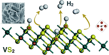 Ultra-high electrocatalytic activity of VS2 nanoflowers for efficient ...