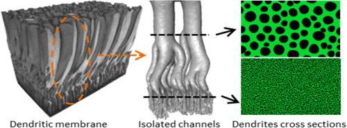 Thin ceramic membrane with dendritic microchanneled sub structure with ...