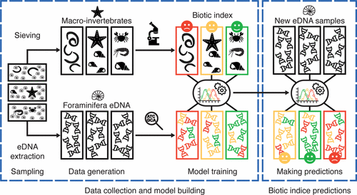 Predicting the Ecological Quality Status of Marine Environments from ...