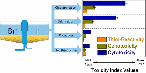 Toxicity of Wastewater with Elevated Bromide and Iodide after ...