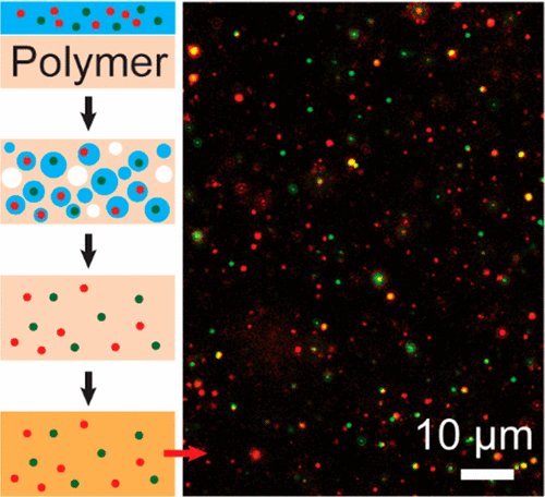 Encapsulation of Single Nanoparticle in Fast-Evaporating Micro-droplets ...