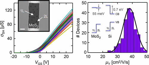 Low Variability in Synthetic Monolayer MoS2 Devices,ACS Nano - X-MOL