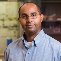 Asefa, Tewodros (Teddy) - Rutgers, The State University of New Jersey ...