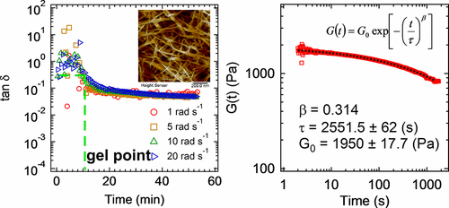 Probing Gelation and Rheological Behavior of a Self-Assembled Molecular ...