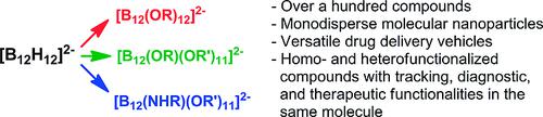 Closomers：多功能单分散分子纳米颗粒,European Journal of Inorganic Chemistry - X-MOL
