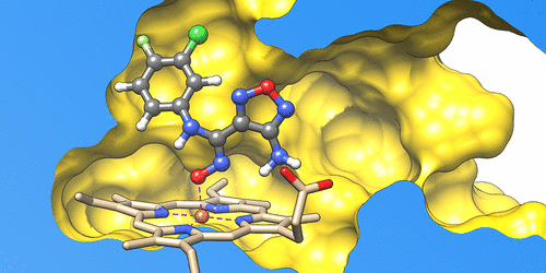 The Binding Mode of N-Hydroxyamidines to Indoleamine 2,3-Dioxygenase 1 ...