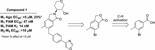 Design and Synthesis of γ- and δ-Lactam M1 Positive Allosteric Modulators (PAMs): Convulsion and ...