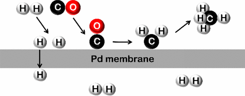 CO Poisoning and CO Hydrogenation on the Surface of Pd Hydrogen ...