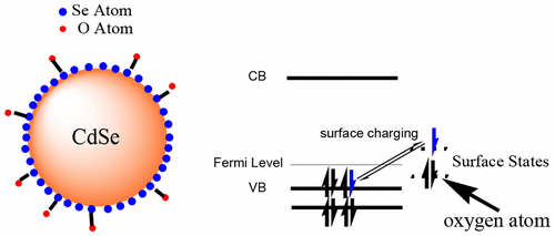 CdSe量子点中的表面充电：红外和瞬态吸收光谱,The Journal of Physical Chemistry C - X-MOL