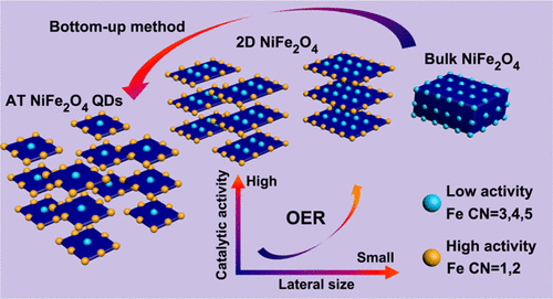Lateral-Size-Mediated Efficient Oxygen Evolution Reaction: Insights ...