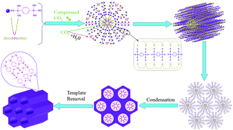 Investigation on the function of nonionic surfactants during compressed ...