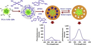 A facile optosensing protocol based on molecularly imprinted polymer ...
