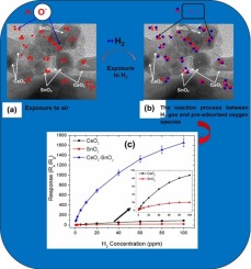 Ultra-high sensitive and selective H2 gas sensor manifested by ...