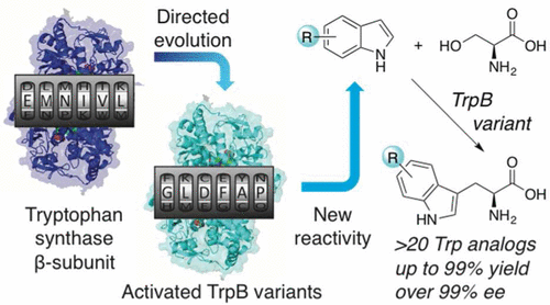 Unlocking Reactivity of TrpB: A General Biocatalytic Platform for ...