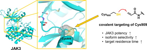 JAK3抑制的最新进展：通过共价半胱氨酸靶向的同工型选择性,Bioorganic & Medicinal Chemistry Letters ...