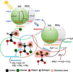 MoO3 altered ZnO: A suitable choice for the photocatalytic removal of ...