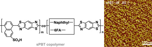 衍生自含有萘单元的磺化聚苯并噻唑的质子交换膜,Journal of Membrane Science - X-MOL