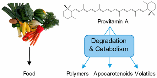 Nonenzymatic β-Carotene Degradation in Provitamin A-Biofortified Crop ...
