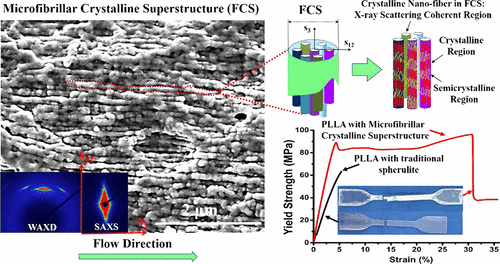 In Situ Formation of Microfibrillar Crystalline Superstructure ...