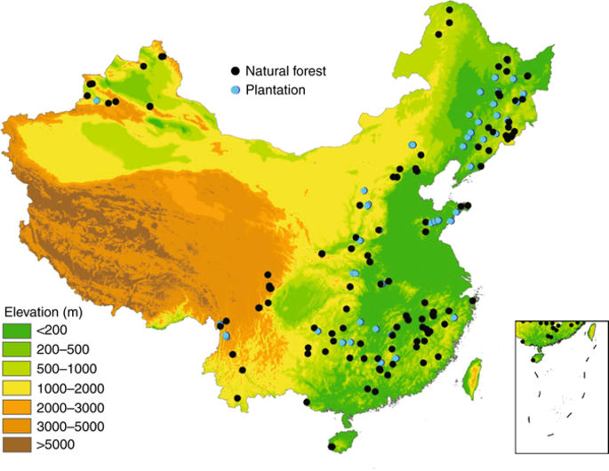 Carbon stocks and changes of dead organic matter in China's forests ...