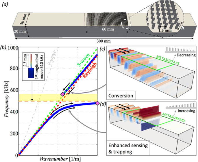 Enhanced sensing and conversion of ultrasonic Rayleigh waves by elastic ...