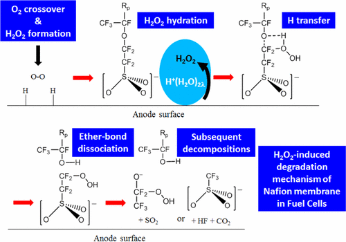 H 2 O 2 诱导的醚键解离水合Nafion膜降解机理的理论研究,ACS Omega - X-MOL