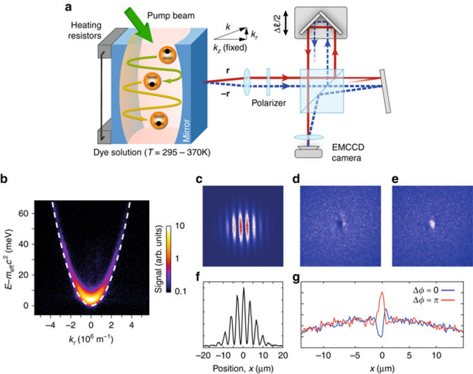 First-order spatial coherence measurements in a thermalized two ...