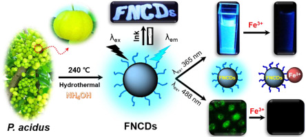 Highly fluorescent nitrogen-doped carbon dots derived from Phyllanthus acidus utilized as a ...