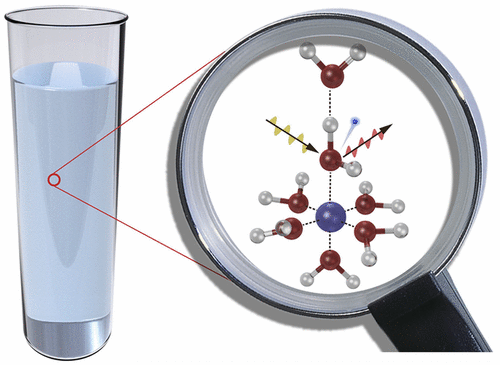 Cationic and Anionic Impact on the Electronic Structure of Liquid Water ...
