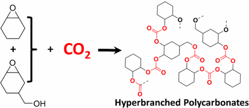 刚性超支化聚碳酸酯多元醇，来自CO 2 和环己烯基环氧树脂,Macromolecules - X-MOL