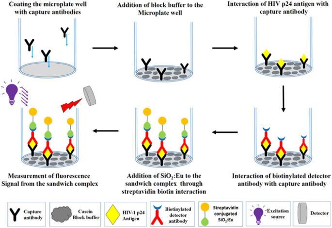 Femtogram Level Sensitivity achieved by Surface Engineered Silica ...