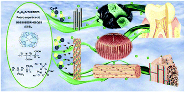 From molecules to macrostructures: recent development of bioinspired ...