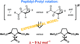 Amide rotation trajectories probed by symmetry,Organic & Biomolecular ...