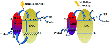 Enhancing the visible light absorption and charge separation of Bi2WO6 by hybridizing a CuTCPP ...