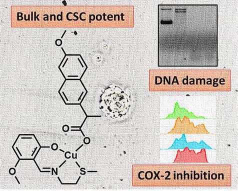 Cancer Stem Cell and Bulk Cancer Cell Active Copper(II) Complexes with ...