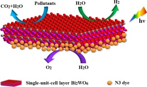 Single-unit-cell layer established Bi2WO6 3D hierarchical architectures ...