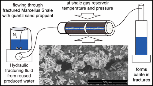 Mineral Reactions in Shale Gas Reservoirs: Barite Scale Formation from ...