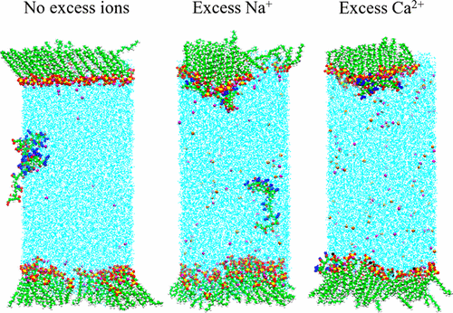 表面活性剂和相同电荷的聚电解质在水表面上的复杂形成,Langmuir - X-MOL