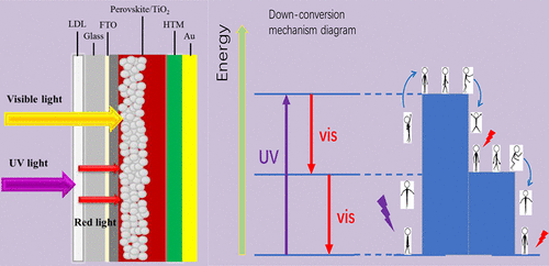Enhancing the Photovoltaic Performance of Perovskite Solar Cells with a ...