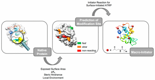 Tertiary Structure-Based Prediction of How ATRP Initiators React with ...