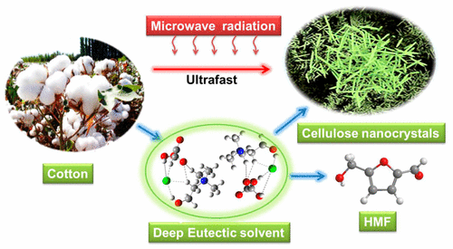 Efficient Cleavage of Strong Hydrogen Bonds in Cotton by Deep Eutectic ...