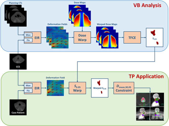 Voxel-based analysis unveils regional dose differences associated with radiation-induced ...