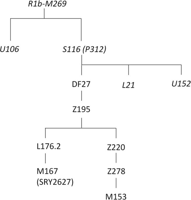 Analysis of the R1b-DF27 haplogroup shows that a large fraction of Iberian Y-chromosome lineages ...