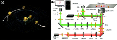 Dynamic plasmonic nano-traps for single molecule surface-enhanced Raman scattering,Nanoscale - X-MOL