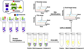 Dual-target inhibitor screening against thrombin and factor Xa ...