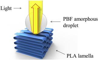 Retroreflection in binary bio-based PLA/PBF blends,Polymer - X-MOL