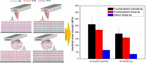Interfacial Shear Strength and Adhesive Behavior of Silk Ionomer ...