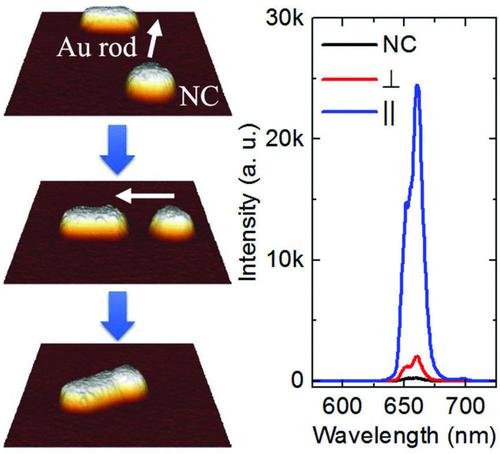 Tuning Plasmonic Enhancement of Single Nanocrystal Upconversion Luminescence by Varying Gold ...